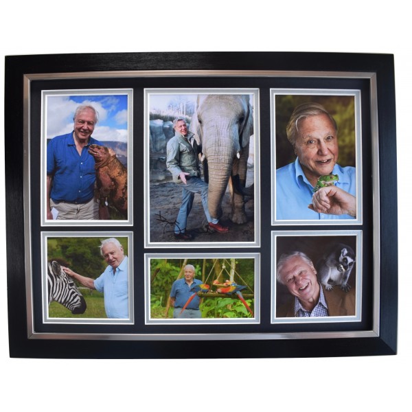 David Attenborough Signed Autograph framed 16x12 photo display Climate ...