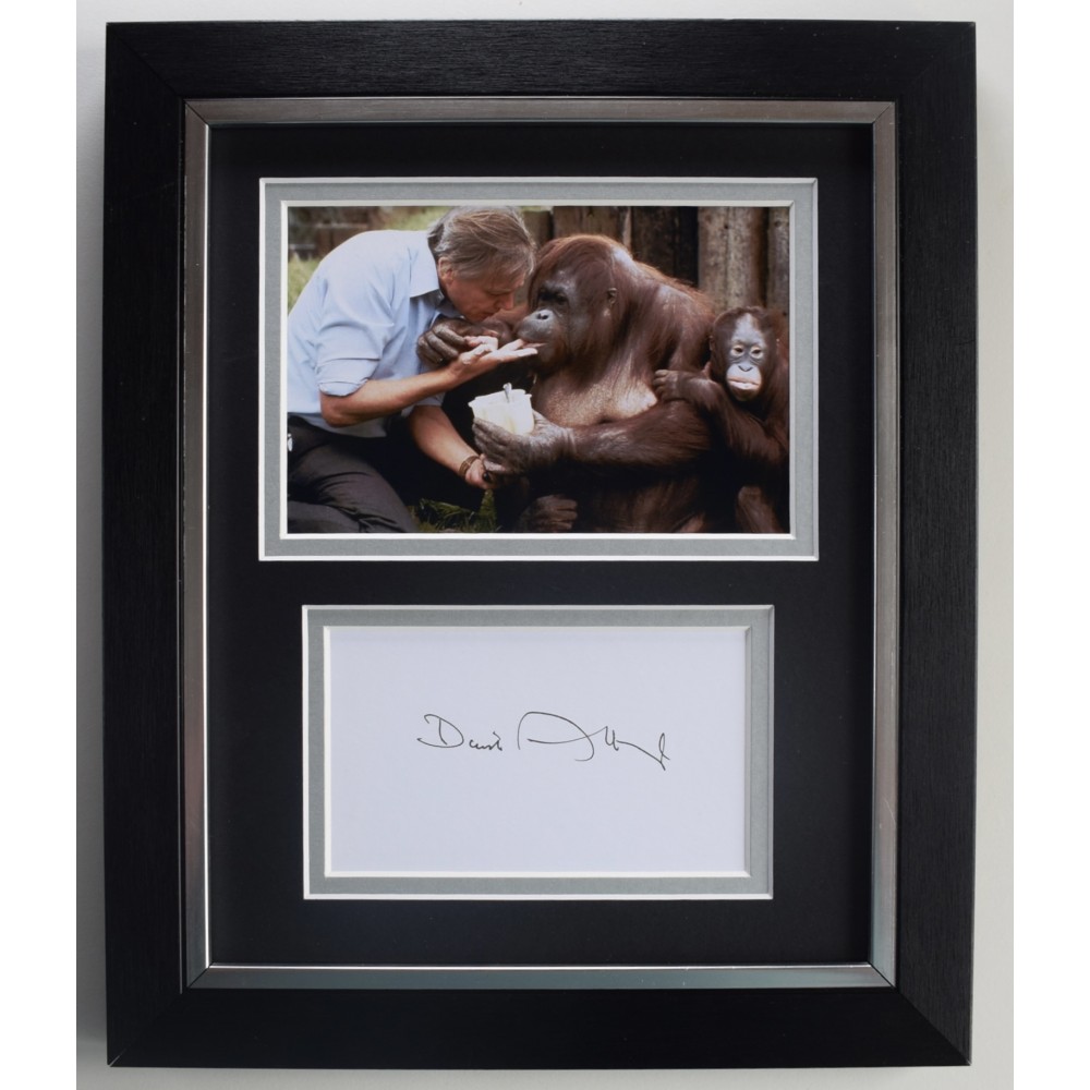 David Attenborough Signed 10x8 Framed Photo Autograph Display Climate ...